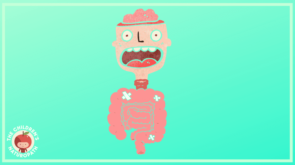 The Gut - Brain Connection - The Children's Naturopath